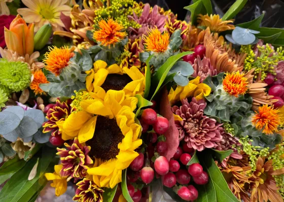 Florist Boulder CO | Flowers By Nora